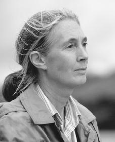 The Ultimate Twenty Facts about Jane Goodall You Should Know