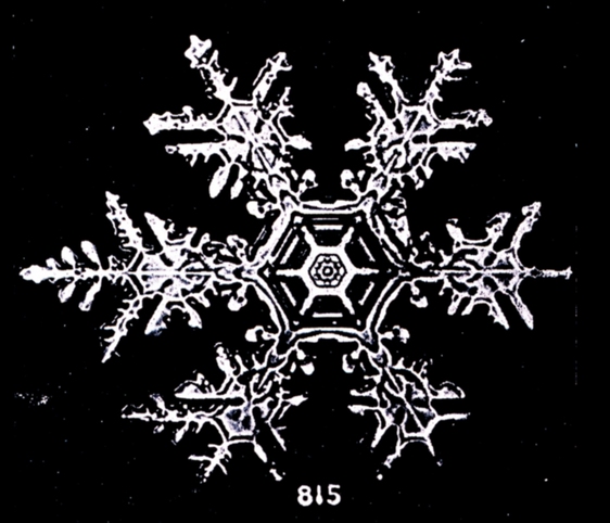 The Iconic and Groundbreaking Photography of Wilson "Snowflake" Bentley