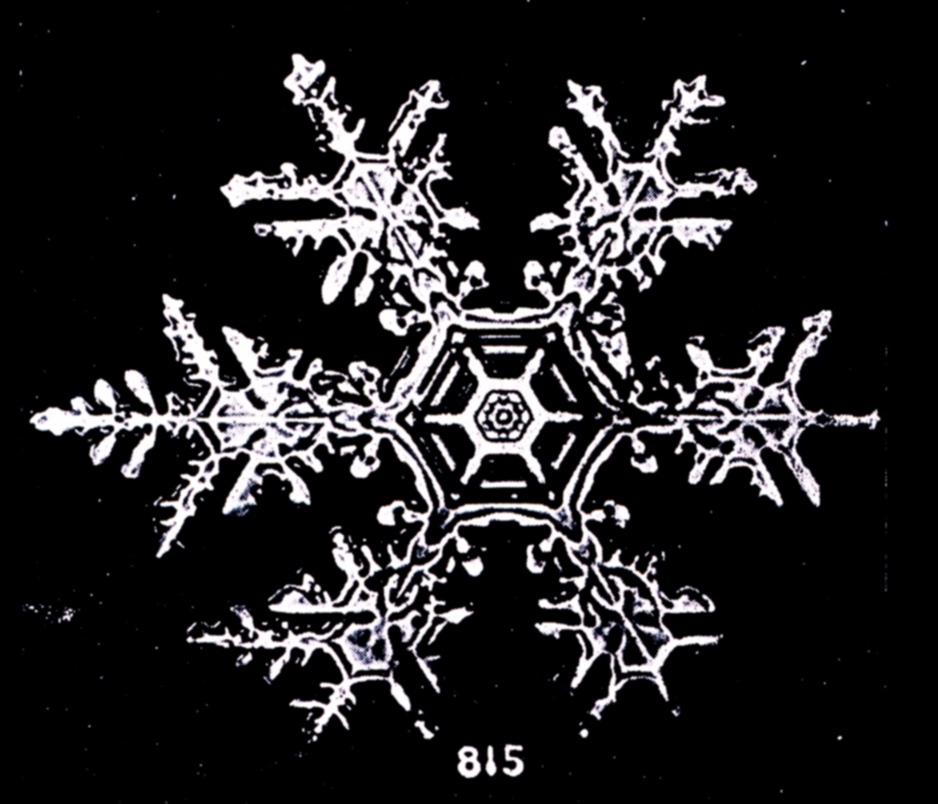 The Iconic and Groundbreaking Photography of Wilson "Snowflake" Bentley
