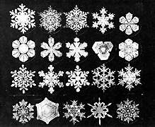 The Iconic and Groundbreaking Photography of Wilson "Snowflake" Bentley