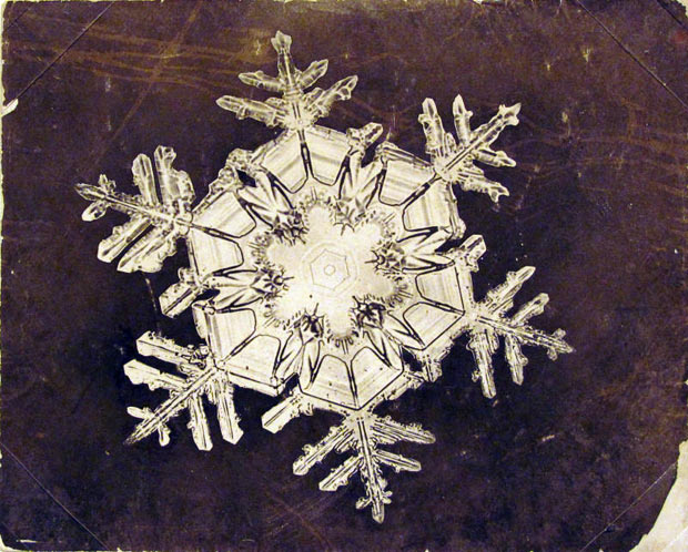 The Iconic and Groundbreaking Photography of Wilson "Snowflake" Bentley