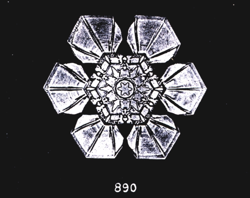 The Iconic and Groundbreaking Photography of Wilson "Snowflake" Bentley