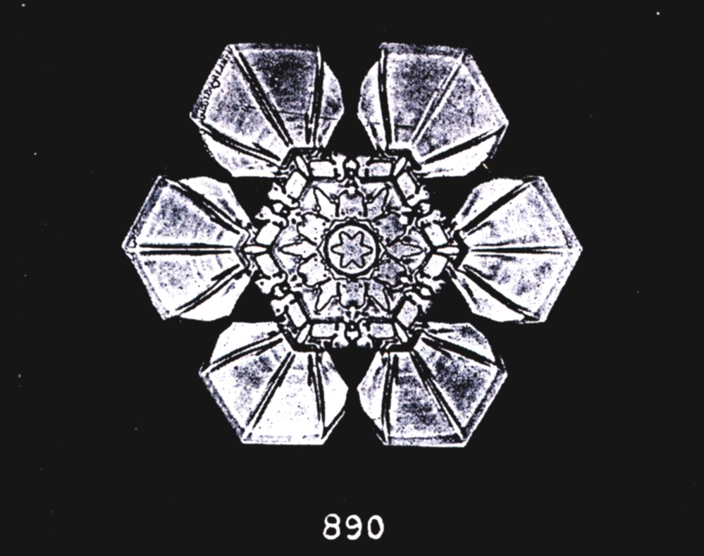 The Iconic and Groundbreaking Photography of Wilson "Snowflake" Bentley
