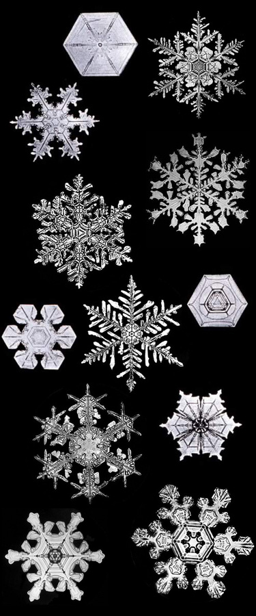 The Iconic and Groundbreaking Photography of Wilson "Snowflake" Bentley