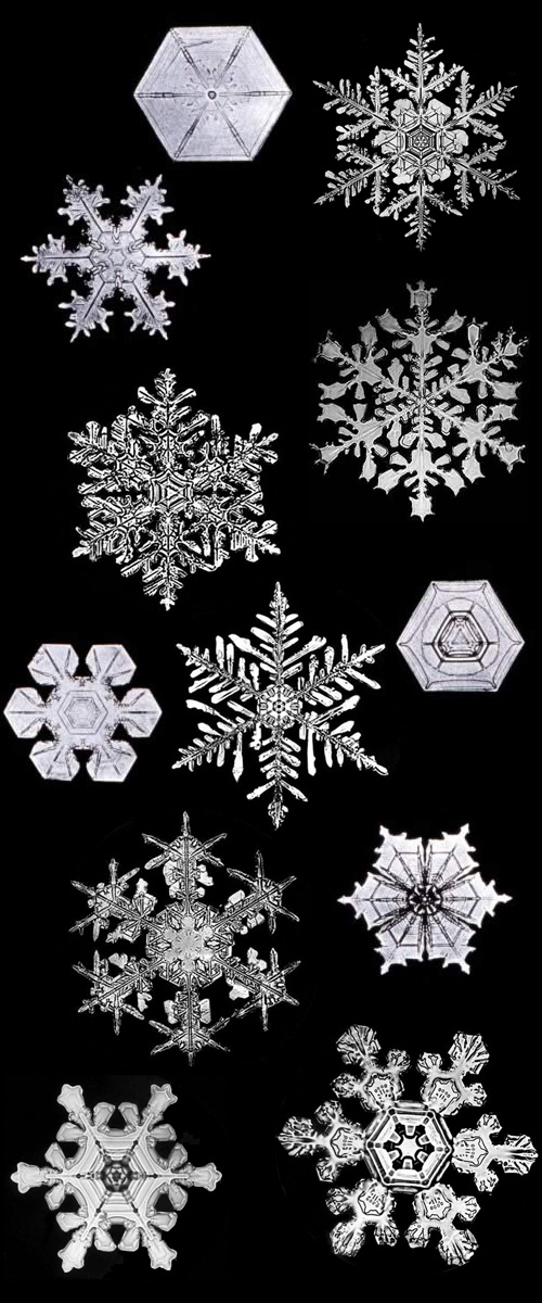 The Iconic and Groundbreaking Photography of Wilson "Snowflake" Bentley