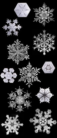 The Iconic and Groundbreaking Photography of Wilson "Snowflake" Bentley