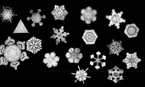 The Iconic and Groundbreaking Photography of Wilson "Snowflake" Bentley