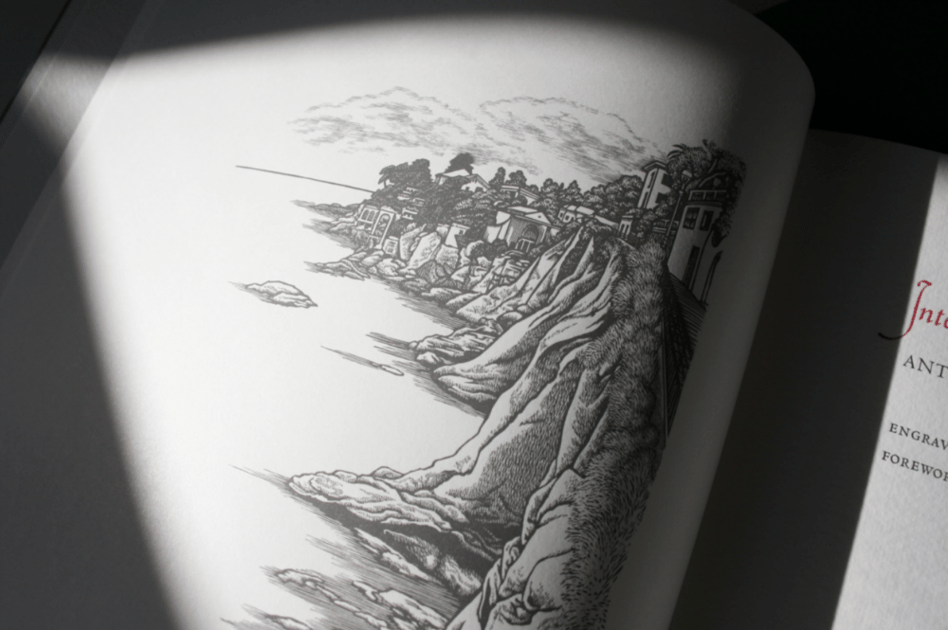 Everything You Need to Know About Two Ponds Press